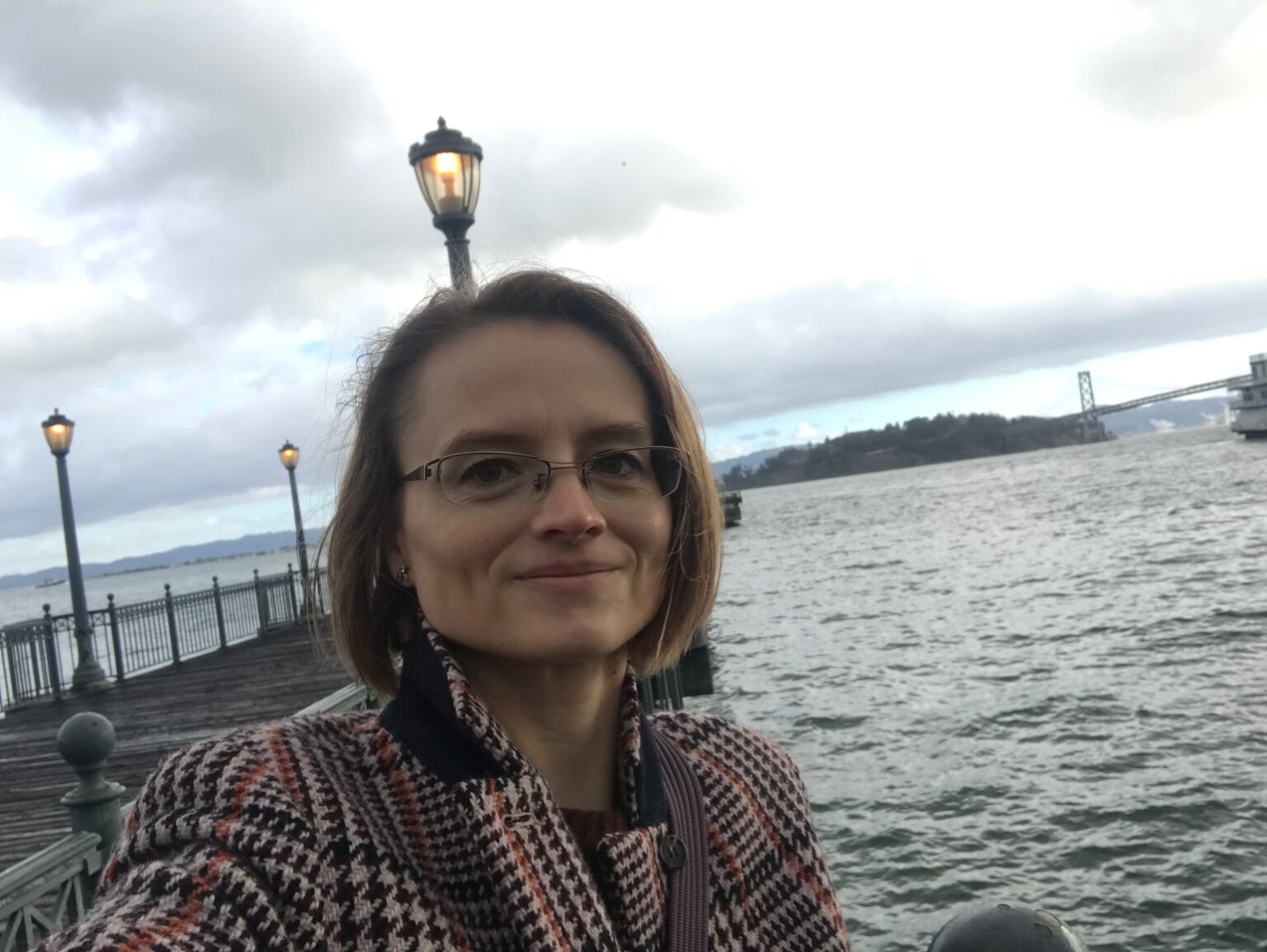 Editorial Board - Earth, Planets and Space